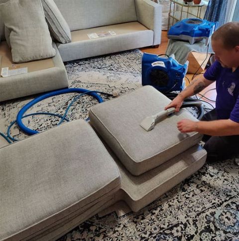 Dan Dan the Carpet Man